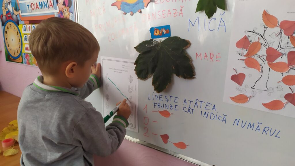 Frunzele la început de toamnă | Direcția Educație, Tineret și Sport din ...
